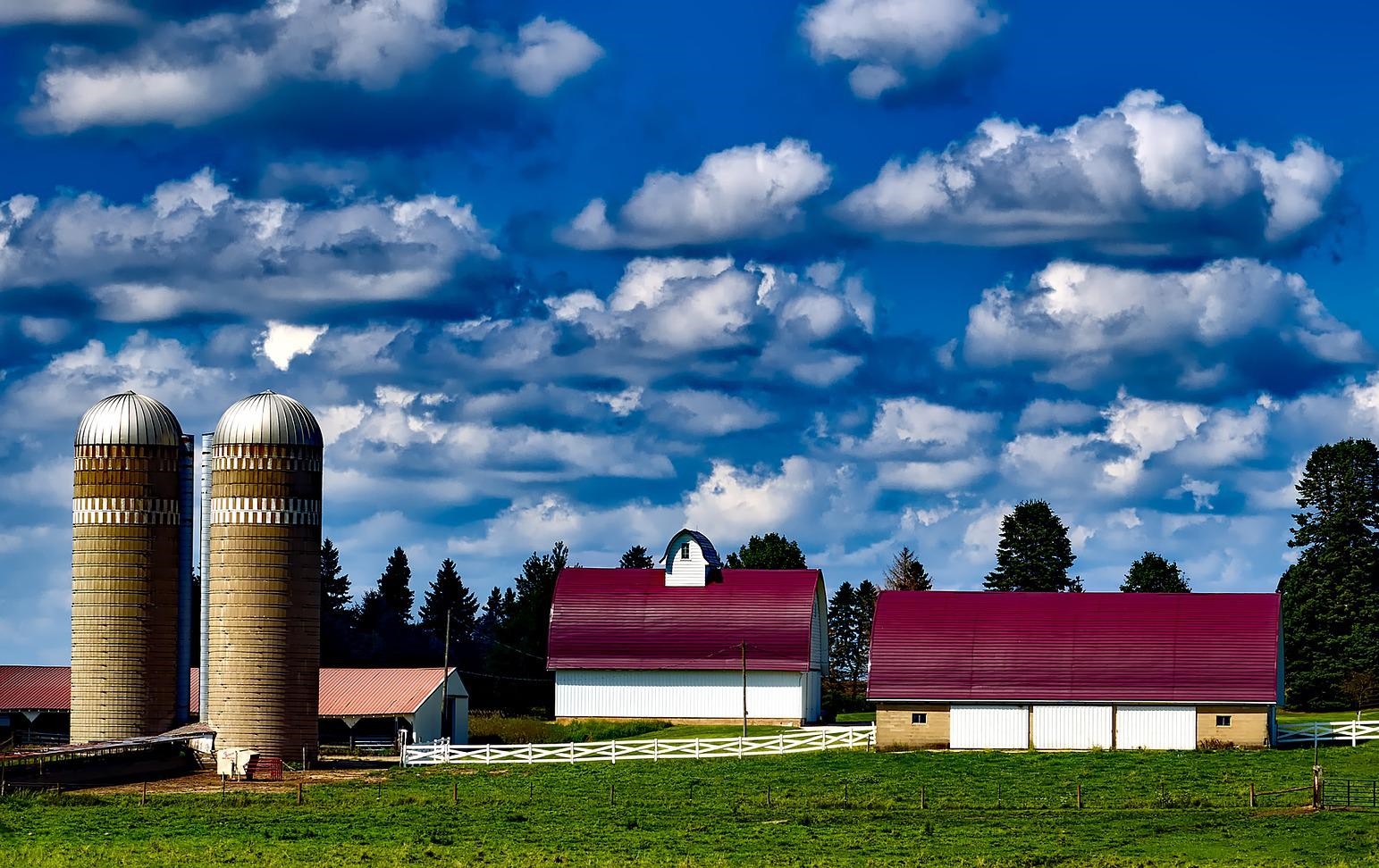 Should I Still Need Silos For My Farm Now? - HISEA BLOG