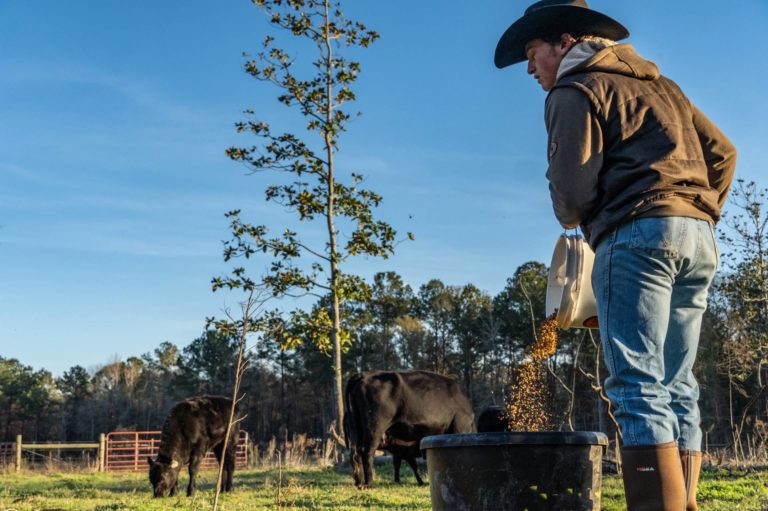 What kind of boots do farmers wear? - HISEA BLOG