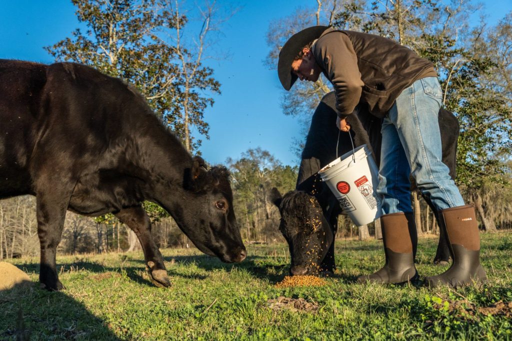 What should you wear to a dairy farm? - HISEA BLOG