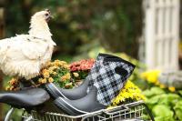 Women's Mid-Calf Barn Boots | HISEA